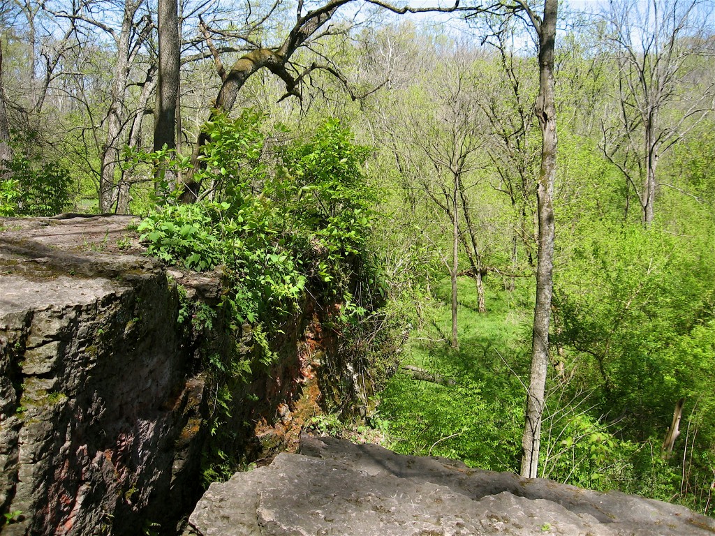 Woods Wanderer » 2012 » April